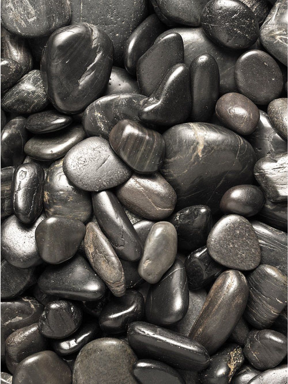Polished Black River Stones - Water Features