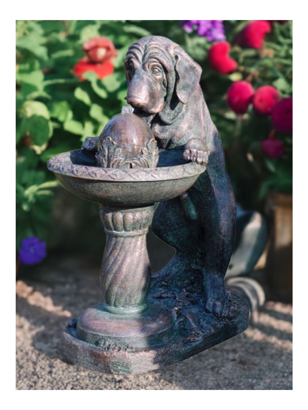Dog at Fountain Water Feature - Water Features